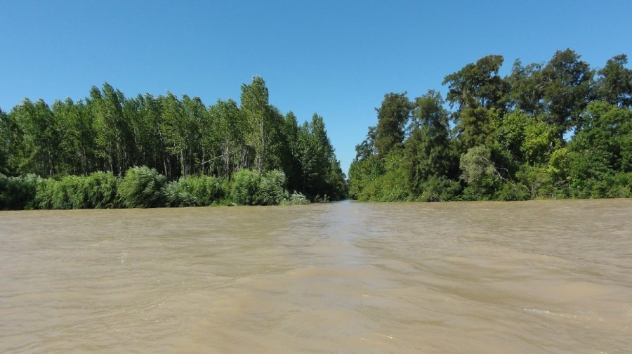 Encontraron altos niveles de glifosato en la cuenca del Río Paraná ...