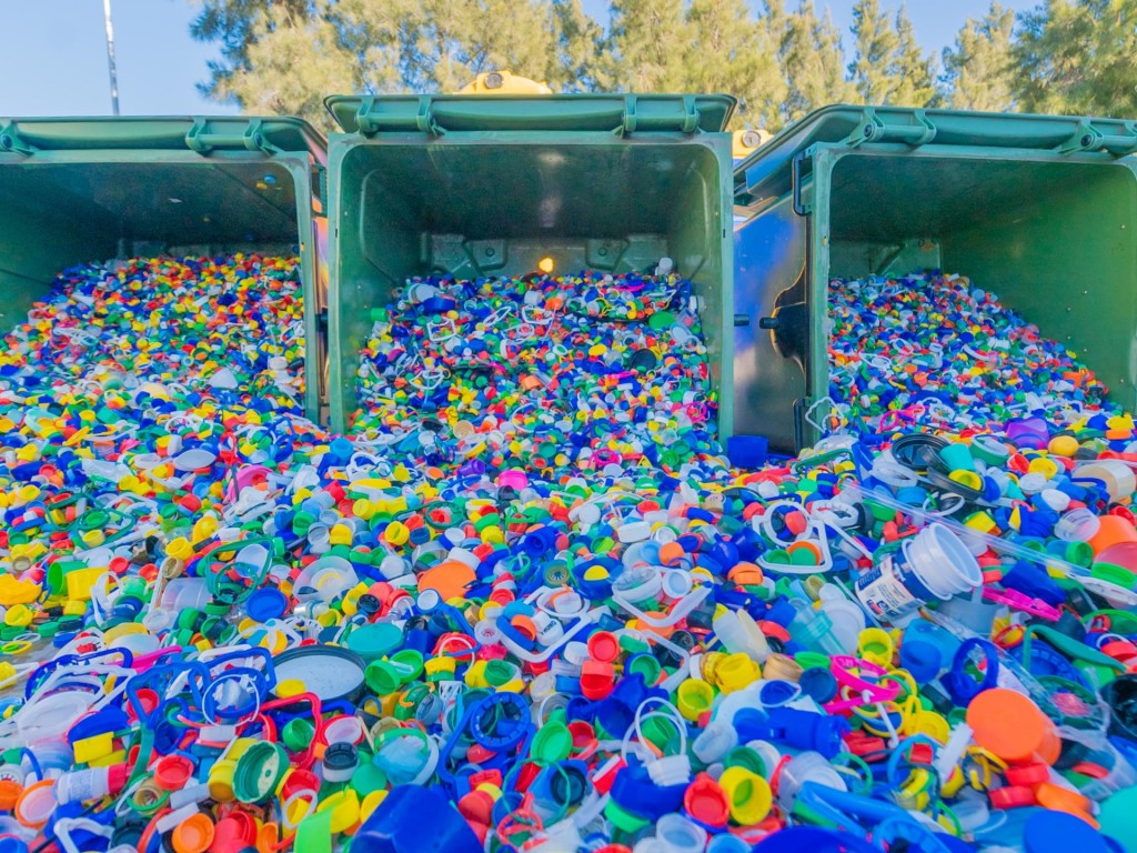Reciclaron tapitas plásticas y papel para ayudar a la Fundación ...